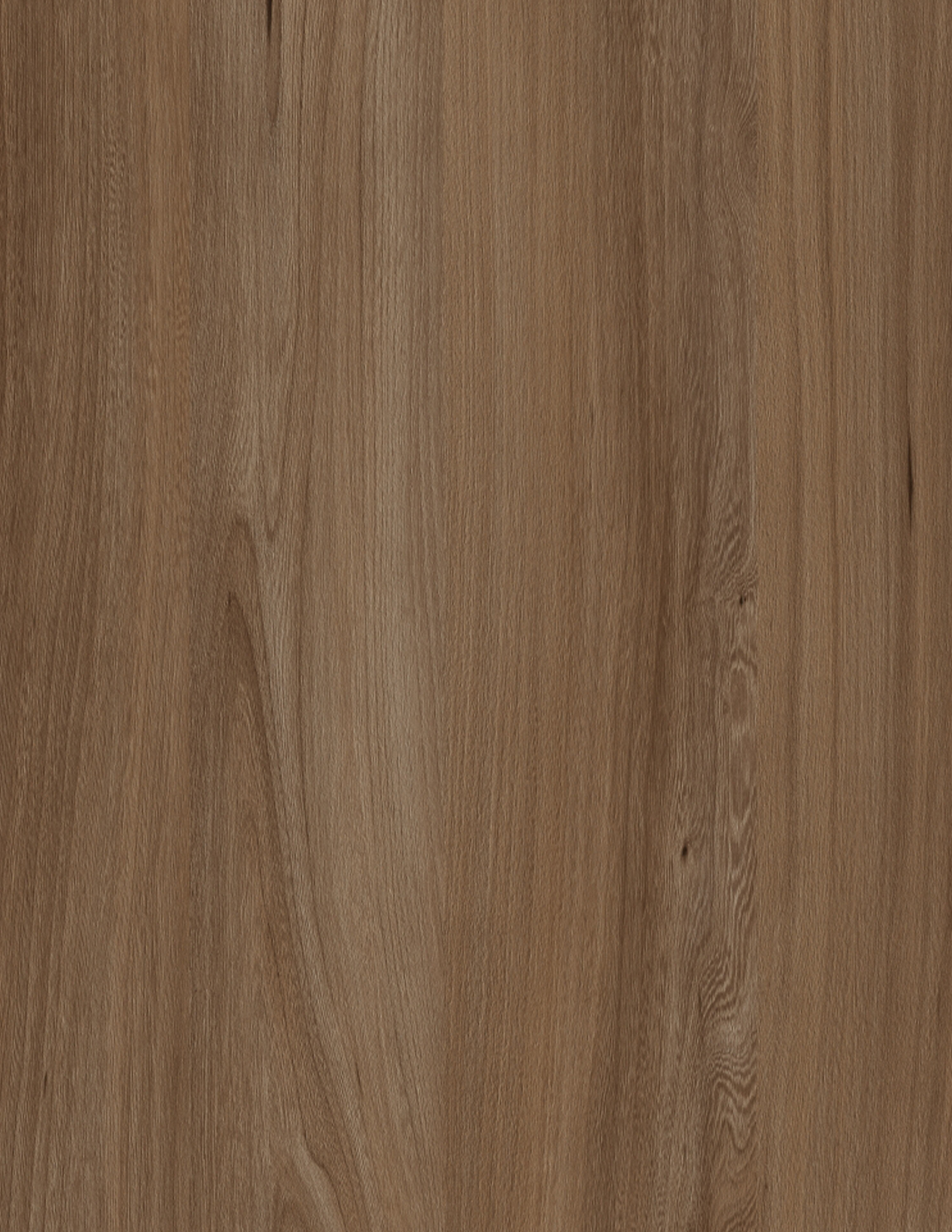 Formica :: Formica Lucca 1567 1220 X 2440 Mate Postformable - CarpiExperto