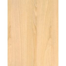 Formica - CarpiExperto - página 2