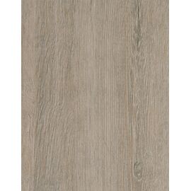 Formica - CarpiExperto