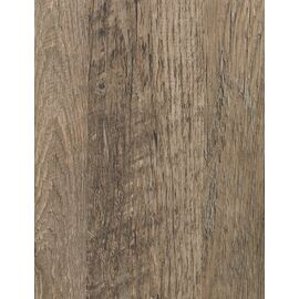 Formica - CarpiExperto