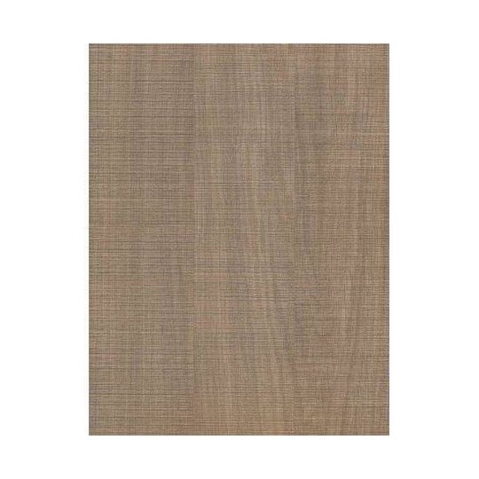 Formica - CarpiExperto