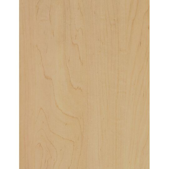 Formica - CarpiExperto